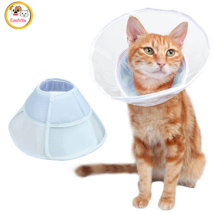 Pet Transparent Elizabethan Collars Soft Comfortable Cat Cone Collar ...