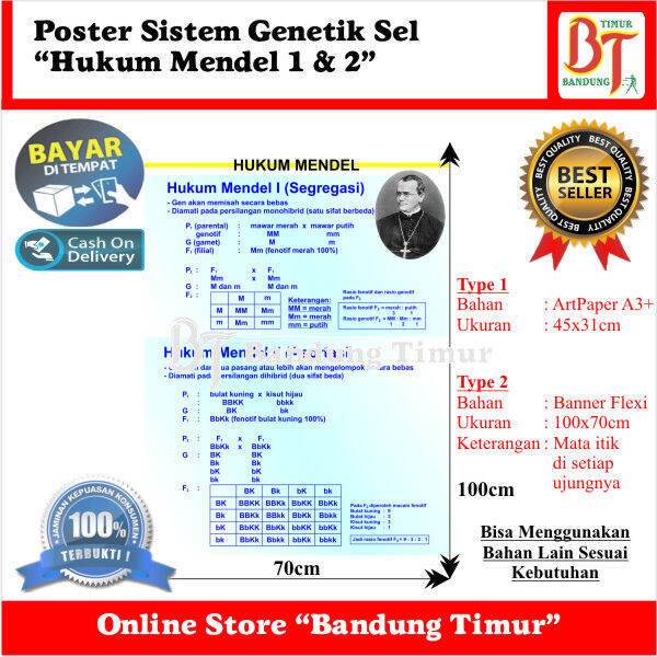 POSTER SISTEM GENETIK SEL HUKUM MENDEL 1 DAN 2 | Lazada Indonesia