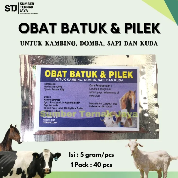 OBAT BATUK dan PILEK Hewan Ternak Kemasan 5 GRAM untuk kambing, domba ...