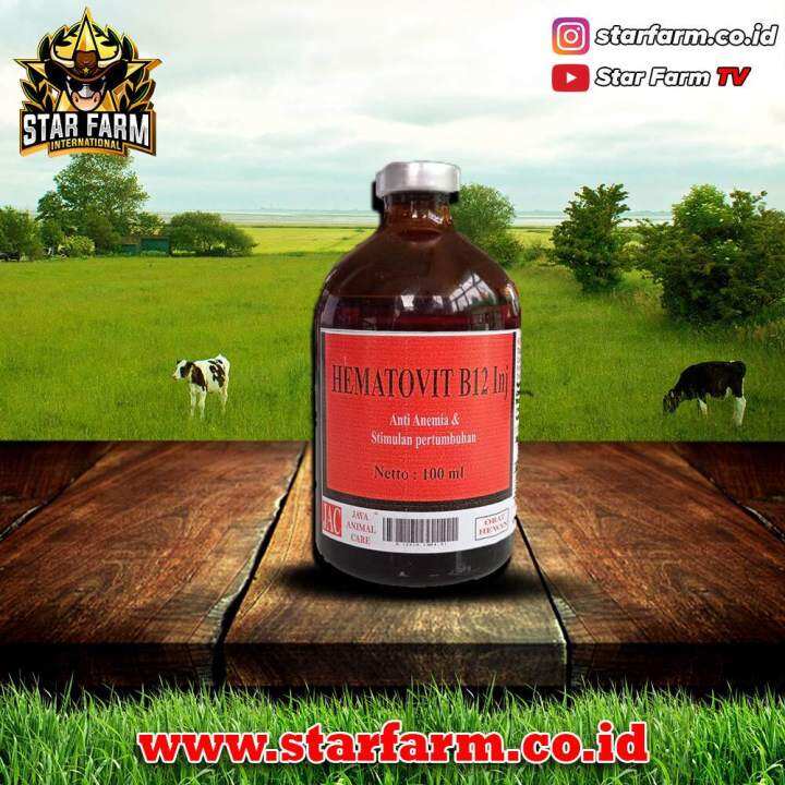 Hematovit B12 100 ml - Star Farm | Lazada Indonesia