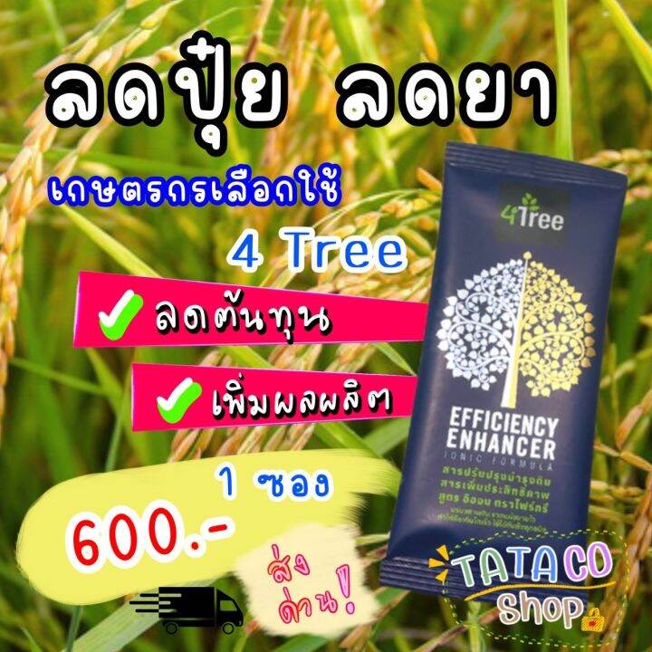 🌱🌱ผลดก ใหญ่ ยาว 4Tree (โฟร์ทรี) 1 ซอง 🌳🌳 ของเเท้ 100% | Lazada.co.th