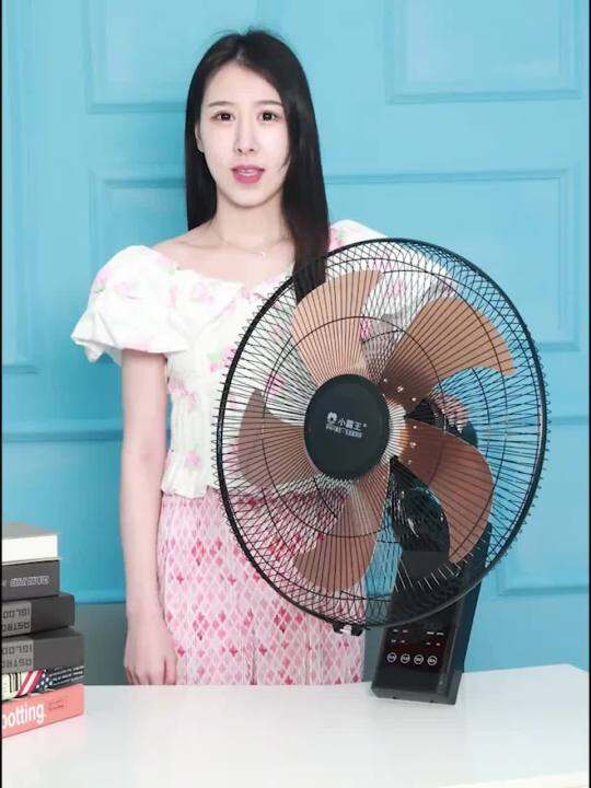 Little Overlord Wall Fan Wall-Mounted Electric Fan Home Remote Control ...