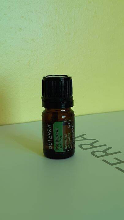 doTERRA MELALEUCA 5ML | Lazada PH