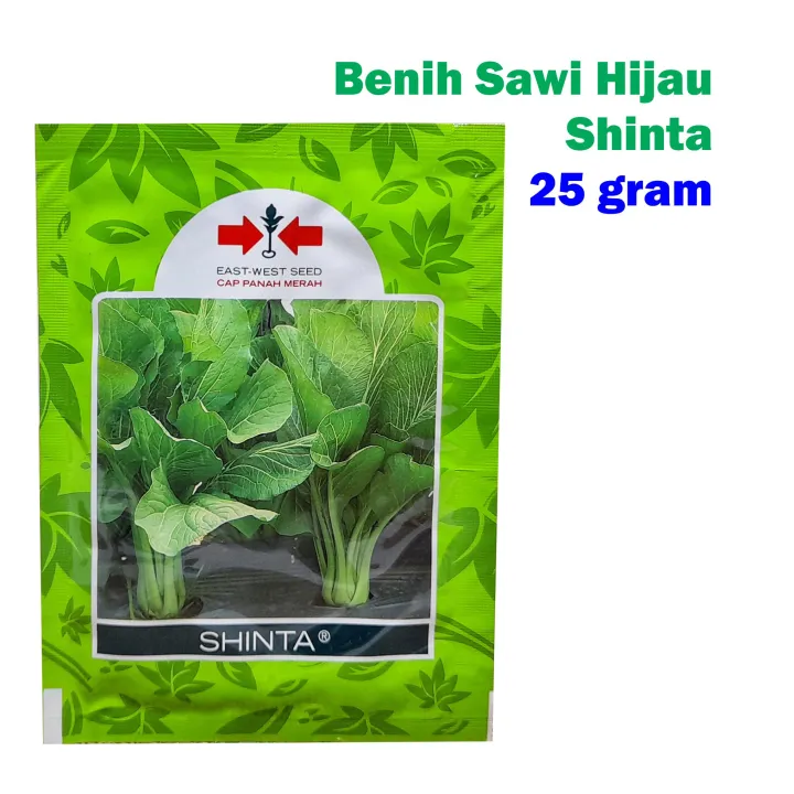 25 gram benih sawi hijau caisim shinta cap panah merah bibit sayur ...