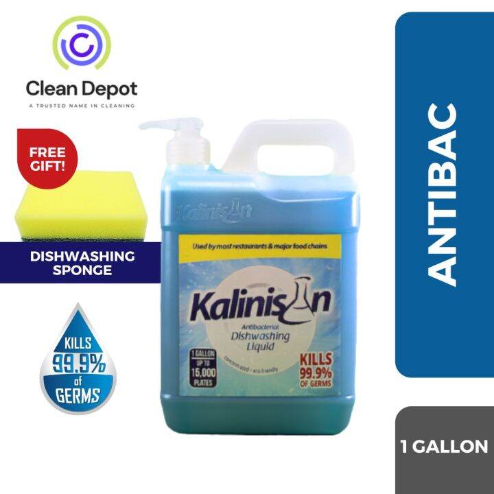 Kalinisan Dishwashing Liquid Antibacterial 1 Gallon | Lazada PH