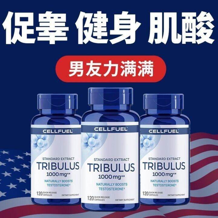 [super Testosterone] Supplementary Hormone Long Lasting Male Hormone