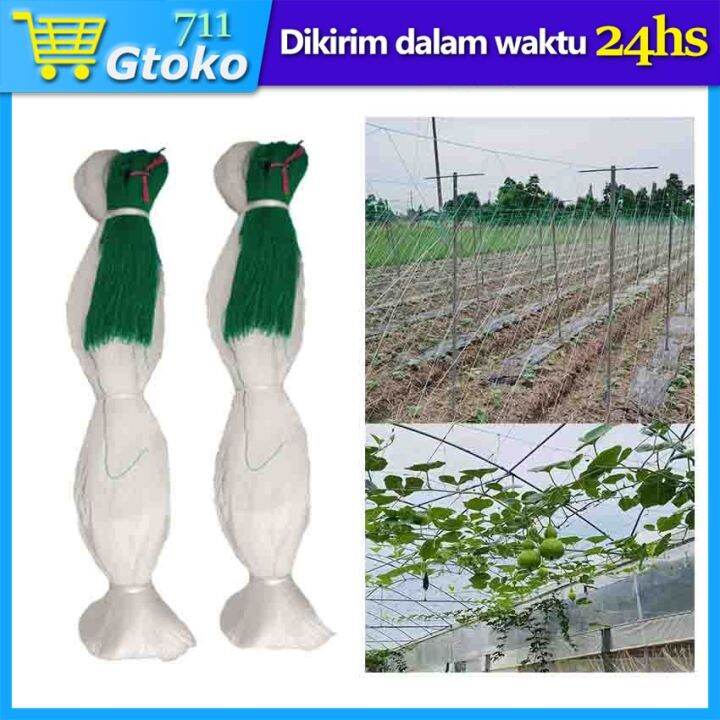 Tanaman Plant Climbing Net MURAH Banyak Kegunaan Jaring Rambatan Tanaman Jaring Pagar Kebun ...