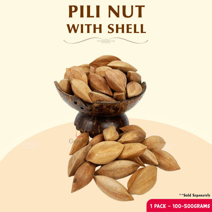 Raw Pili Nuts with Shell Good Quality from Bicol Pilinuts with shell ...