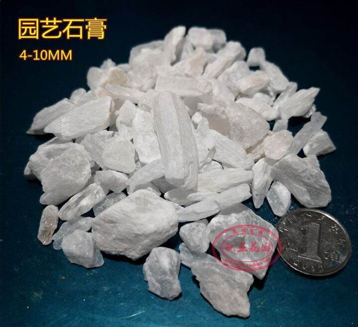 Limestone limestone gypsum cactus planting granular soil pavement ...