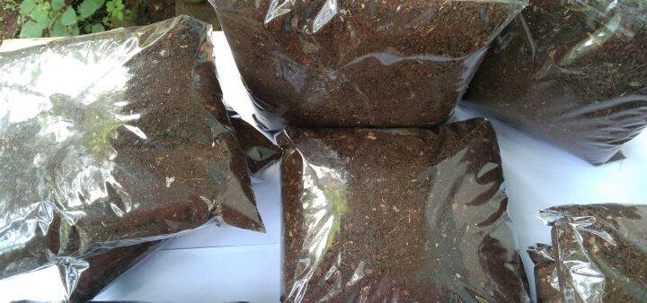 Fertile (Mataba) Garden Soil or Loam Soil | Lazada PH