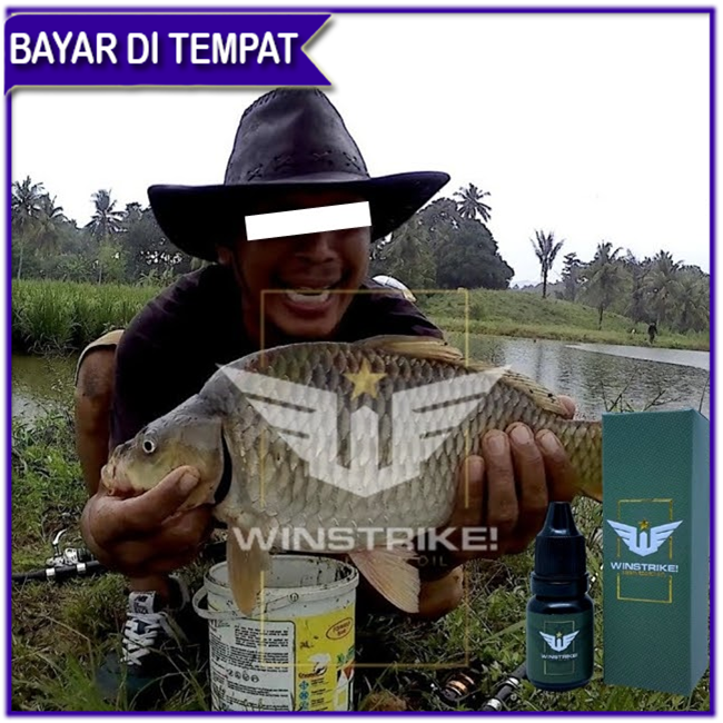 Racikan umpan ikan mas gacor pakan pancing ikan mas umpan mancing ikan mas jadi siap pakai ...