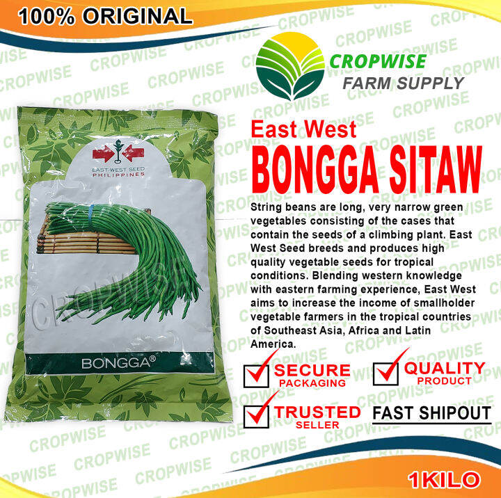 East West EASTWEST 1Kilo STRING BEANS Seeds - Bongga SITAW | Lazada PH