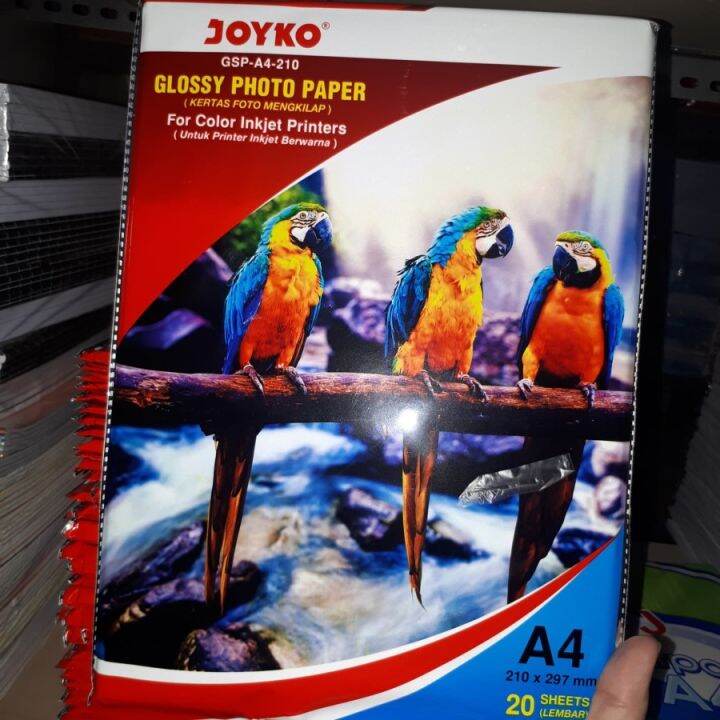 Kertas Foto A4 210/Kertas Poto/Glossy Photo Paper/Kertas Photo | Lazada ...