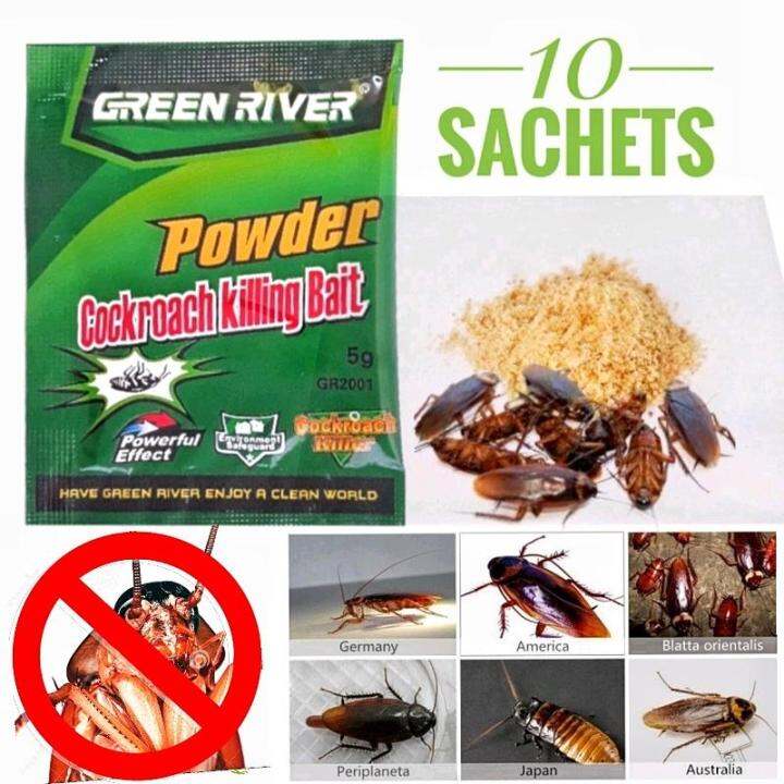 10pcs GreenRiver Cockroach Powder Killing Bait with Free Gloves ...
