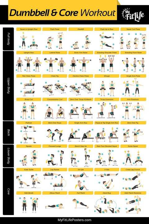 Gym Dumbbell and Core Workout Poster Guide with 40 Exer Gym workouts ...