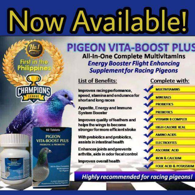 PIGEON VITA-BOOST PLUS COMPLETE ALL IN ONE SUPPLEMENT | Lazada PH