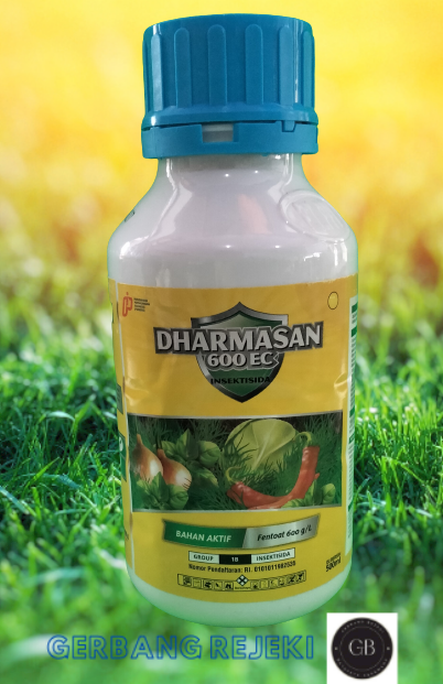 INSEKTISIDA DHARMASAN 600 EC (Fentoat 600 g/l) 500ml | Lazada Indonesia