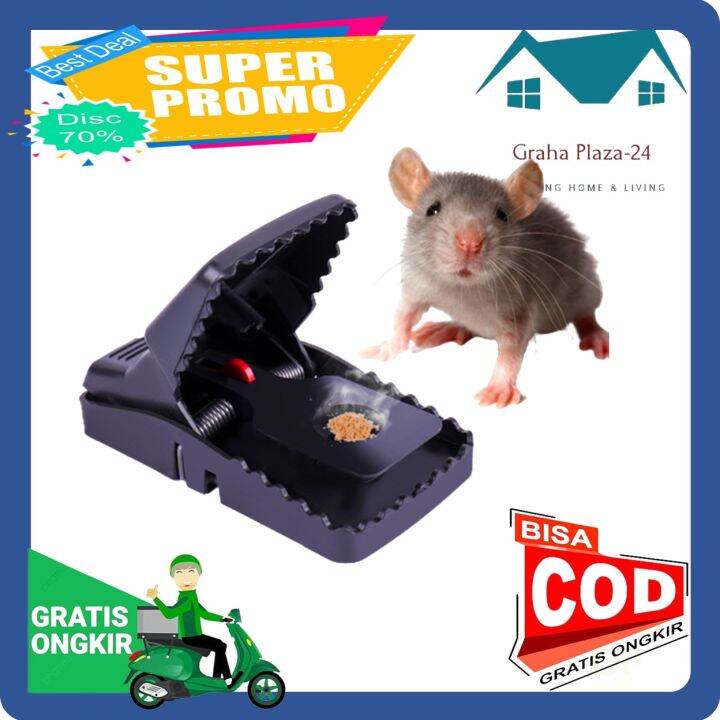Perangkap Tikus Jebakan Tikus Modern Paling Canggih Tanpa Racun ...