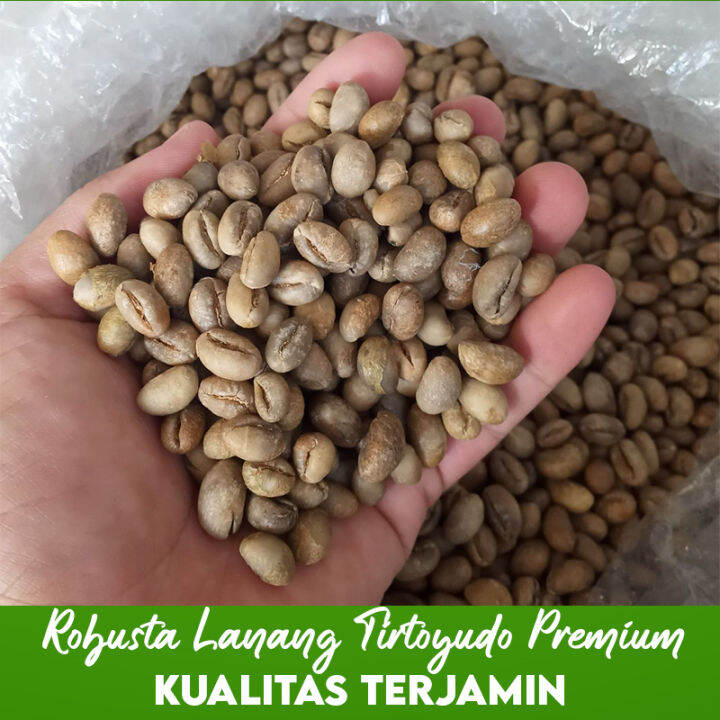 BIJI KOPI (Green Bean) Peaberry ROBUSTA LANANG Tirtoyudo Malang ...