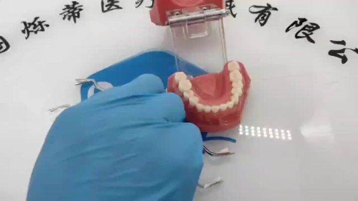 PMUAJ Dental Implant Gingival Retraction Gingival Retractor Dental Gum ...