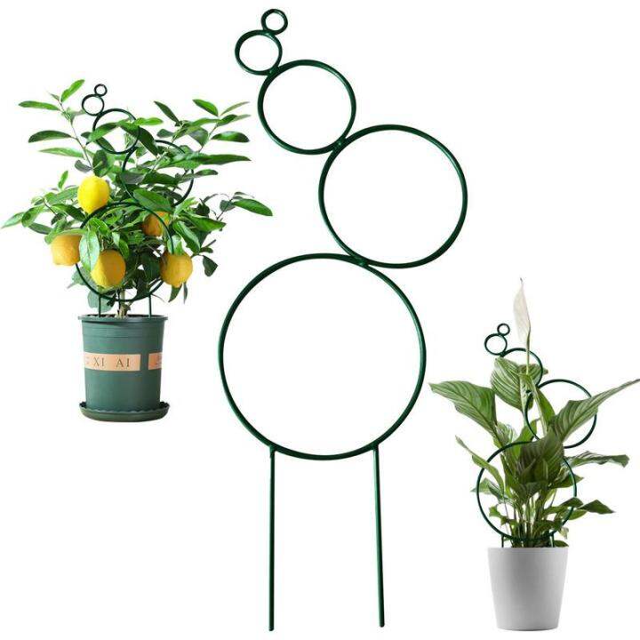 Small Trellis For Potted Plants Small Stackable Metal Wire Houseplant ...