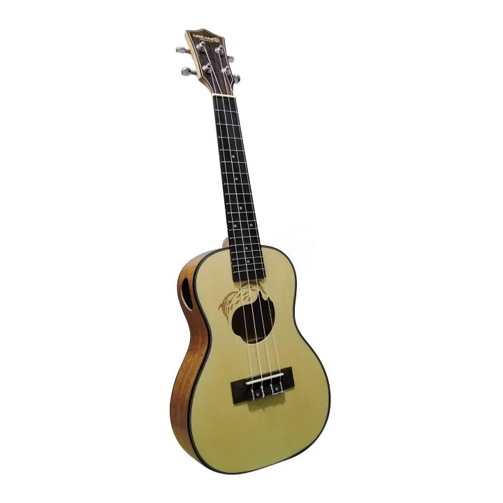Dream Maker Ukulele Kit UK24-G | Lazada PH