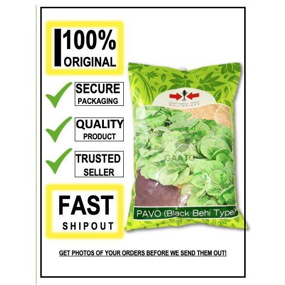 PAVITO PAVO PECHAY SEEDS BY EASTWEST 1 KILO | Lazada PH
