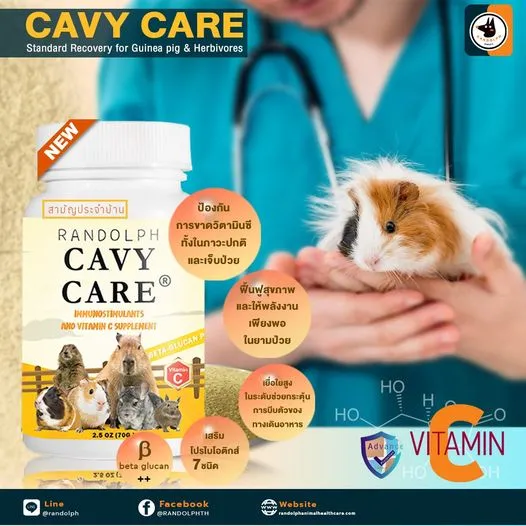 Cavy Care เควี่แคร์ 70 กรัม ฟื้นฟูสุขภาพและให้พลังงาน หนูตะเภา แกสบี้ ...