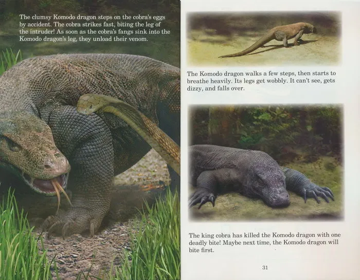 Komodo Dragon Vs King Cobra Book
