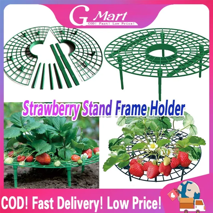 Green Strawberry Rack Plastic Strawberry Stand Frame Holder Flower ...