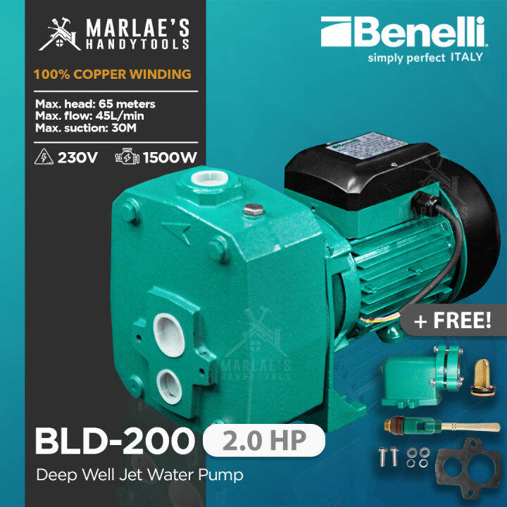 Benelli Deepwell Jet Water Pump 2.0HP with Ejector and Adapter BLD200 ...