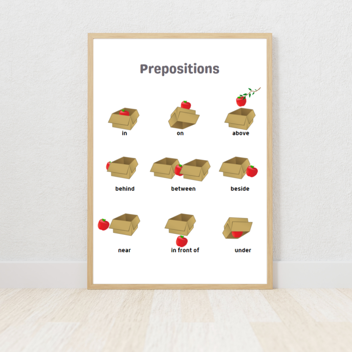 A3 or A4 Laminated Educational Posters, Body system, Preposition ...