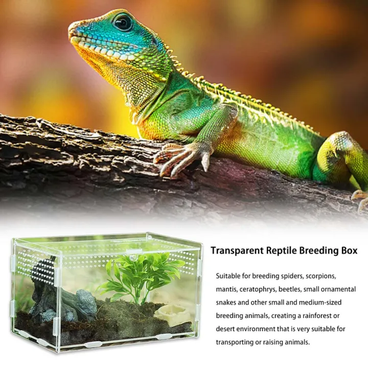FRHTYU Professional Breathable Feeding Box Hatcher Lizard Insect Frogs ...