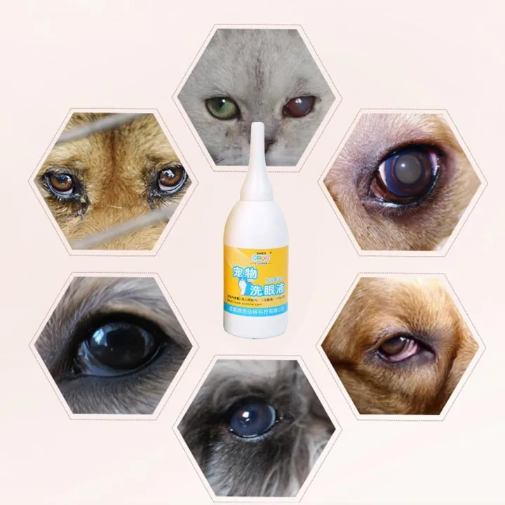30ml Pet Eye Wash Dog Eye Drops To Remove Tears Wash Dog Cat Eye And ...