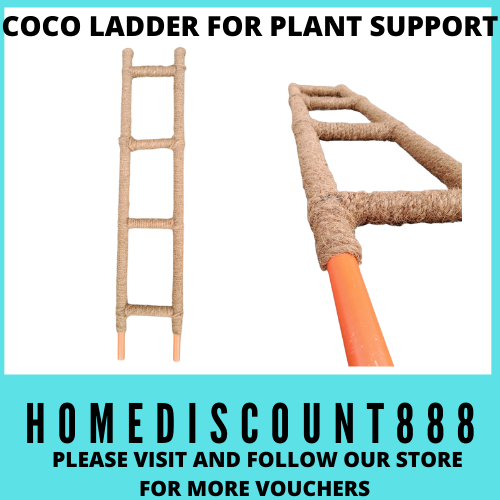 COCO LADDER PLANT POLE 4FT / 5FT GOOD FOR PLANTS / PVC COCO POLE / GOOD ...