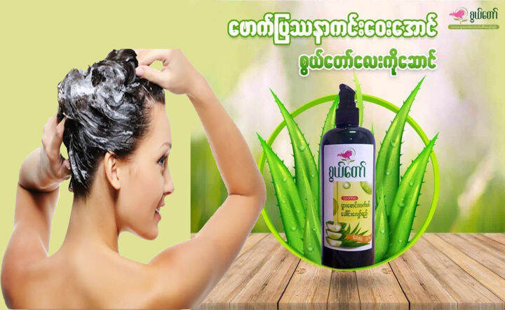 Aloe Vera Shampoo แชมพูว่านหางจระเข้ { Myanmar စယြ္ေတာ္ လ ...