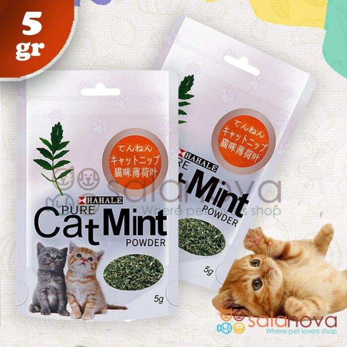 Catmint Sachet / Catnip Bubuk 5gr | Lazada Indonesia Catmint Sachet / Catnip Bubuk 5gr | Lazada Indonesia