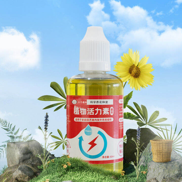 Take Root Rooting Hormone Supplement for Transplant and Rescue The ...