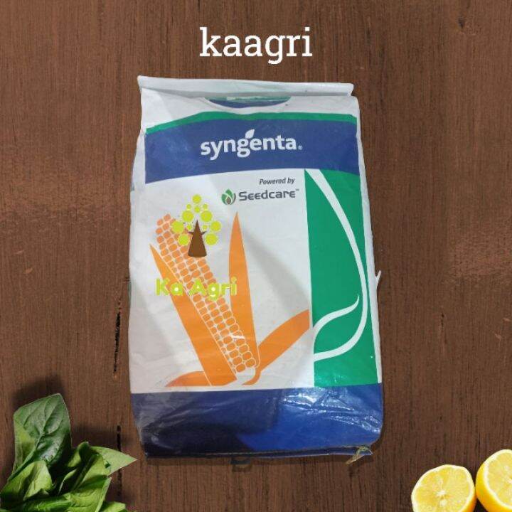 【COD】 Syngenta Yellow Corn Nk6410 trial pack 1kg. | Lazada PH