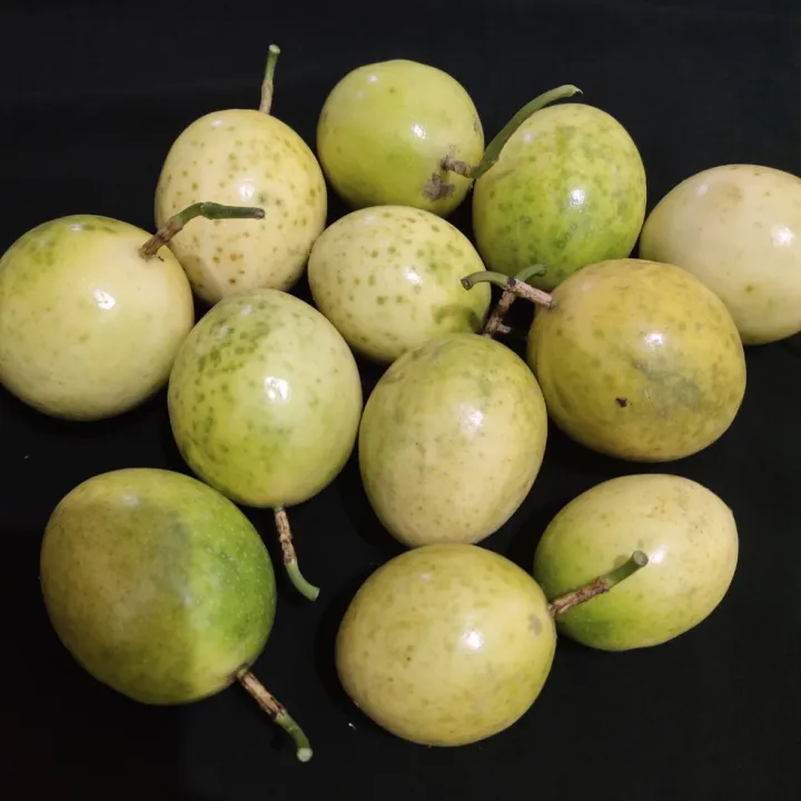 BARU jual buah markisa kuning asam manis fresh 1 kg | Lazada Indonesia