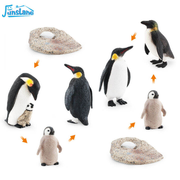 FunsLane Realistic Penguin Action Figures Growth Cycle Life Stage Model ...