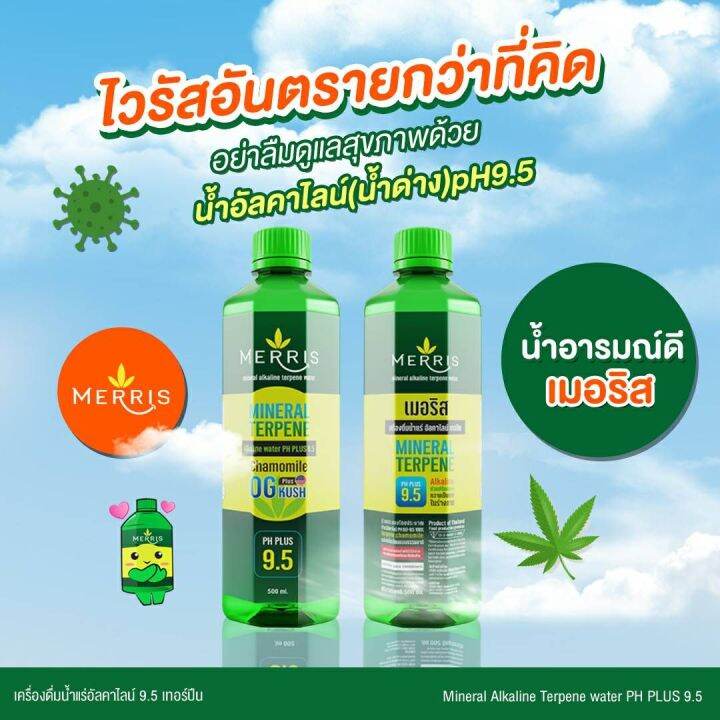 Merris เมอริส เครื่องดื่มน้ำอัลคาไลน์ Alkaline น้ำด่าง pH9.5 1ลัง มี 24 ...