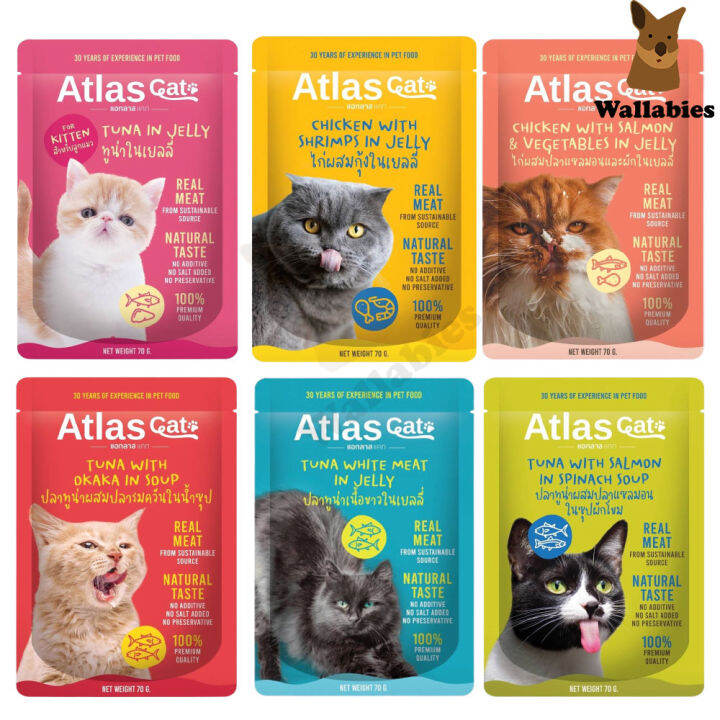 (ยกโหล) Atlas Cat Pouch Cat Food แอทลาส แคท อาหารเปียกแมว 6รสชาติ 70g ...