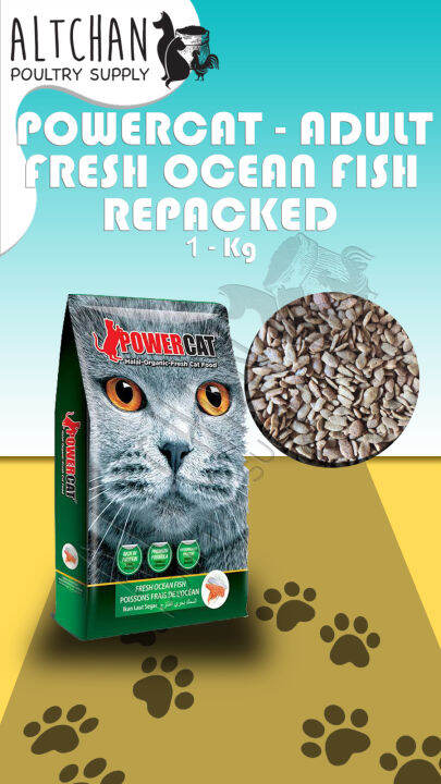 Powercat ADULT CatFood - 1Kg Repacked (ORGANIC - FRESH OCEAN FISH) "FOR ...