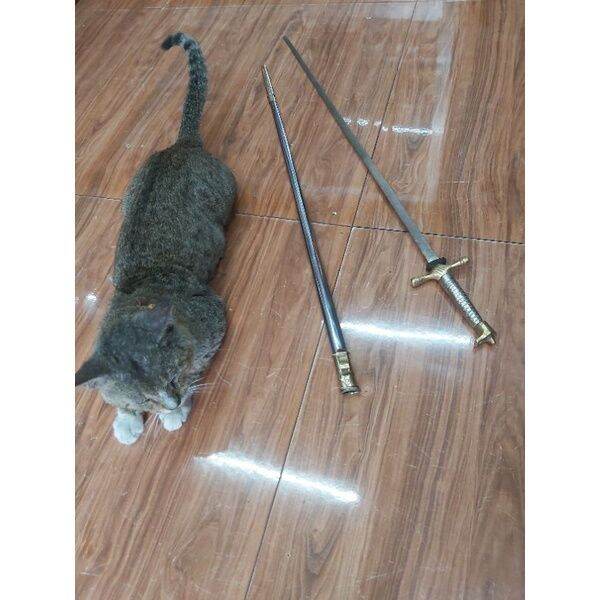 sword for ROTC and CAT | Lazada PH