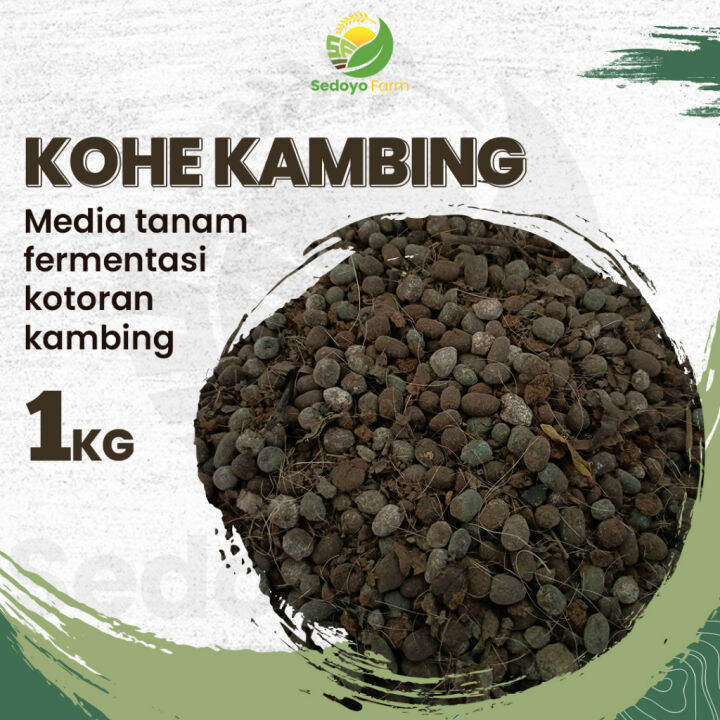 Pupuk Kohe Kambing Fermentasi Utuh Siap Pakai 1Kg | Lazada Indonesia