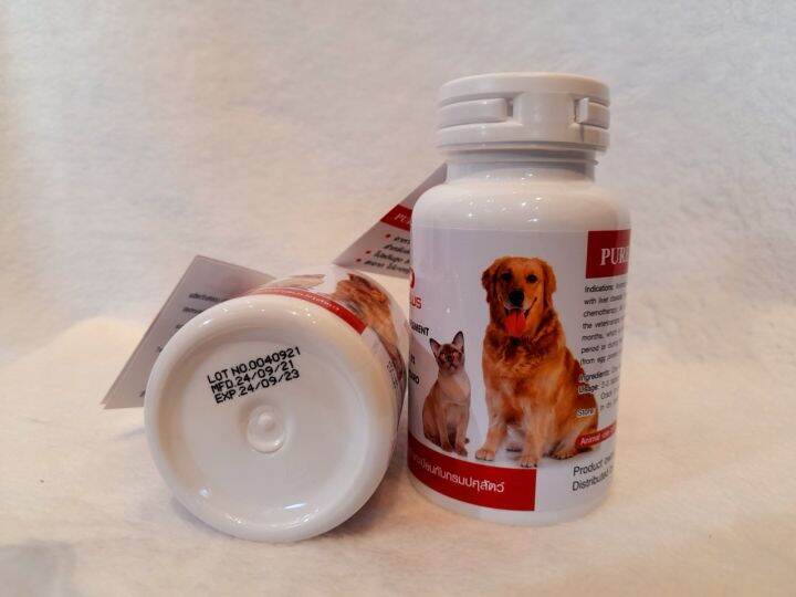 ของแท้100% Power Plus Pure Albumin Tablet อาหารเสริมโปรตีนชนิดเม็ด ...