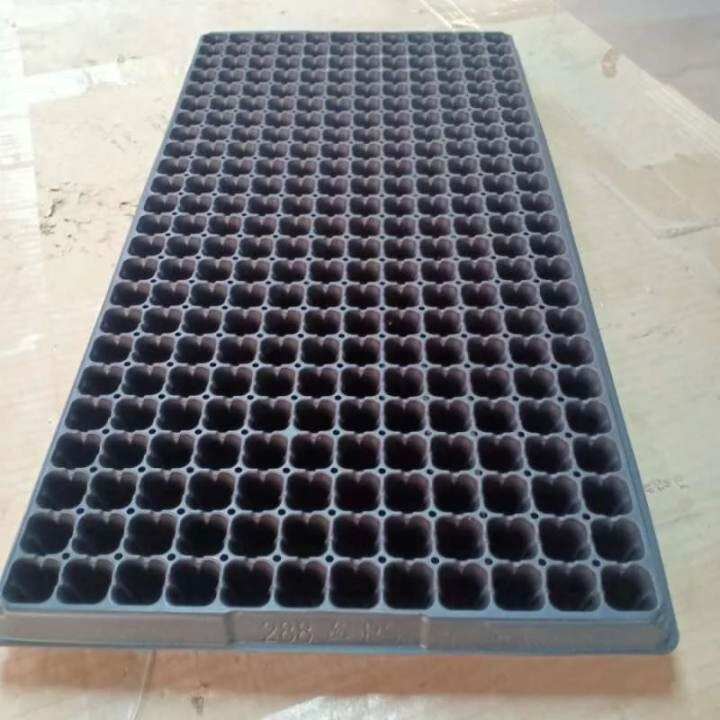 Tray Semai 288 Lubang | Lazada Indonesia