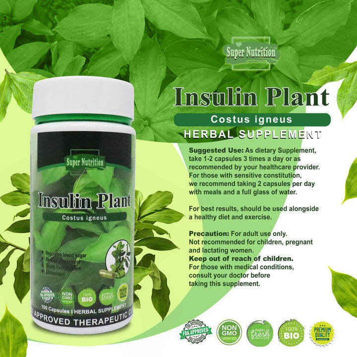 Insulin Organic Capsule 100's | Lazada PH