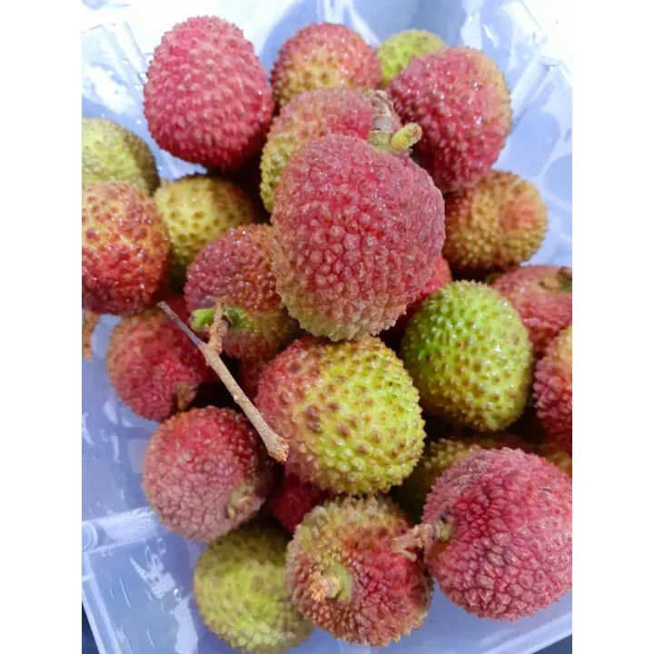Buah Leci | Lychee Manis premium import 1 kg | Lazada Indonesia